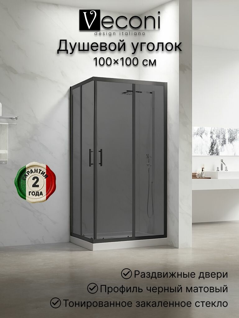 Душевой уголок Veconi Rovigo RV-27B Grey 100х100, стекло тонированное, профиль черный матовый RV27B-100100-05-C8