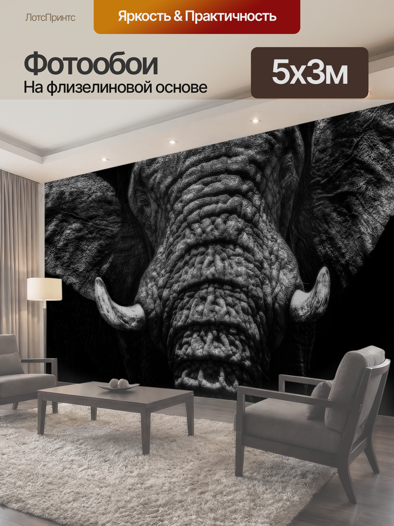 Фотообои "Слон, закрыть, черное и белое" 500x300 см. экосольвентная печать