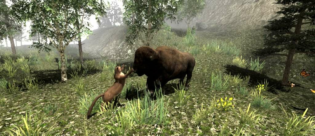 Untamed: Life of a Cougar Steam Ключ • Активация Steam • регион Весь мир