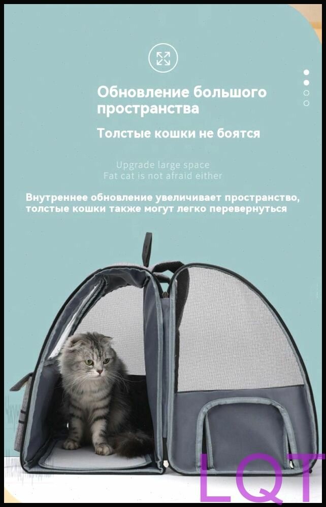 Автобокс для животных — фото 1