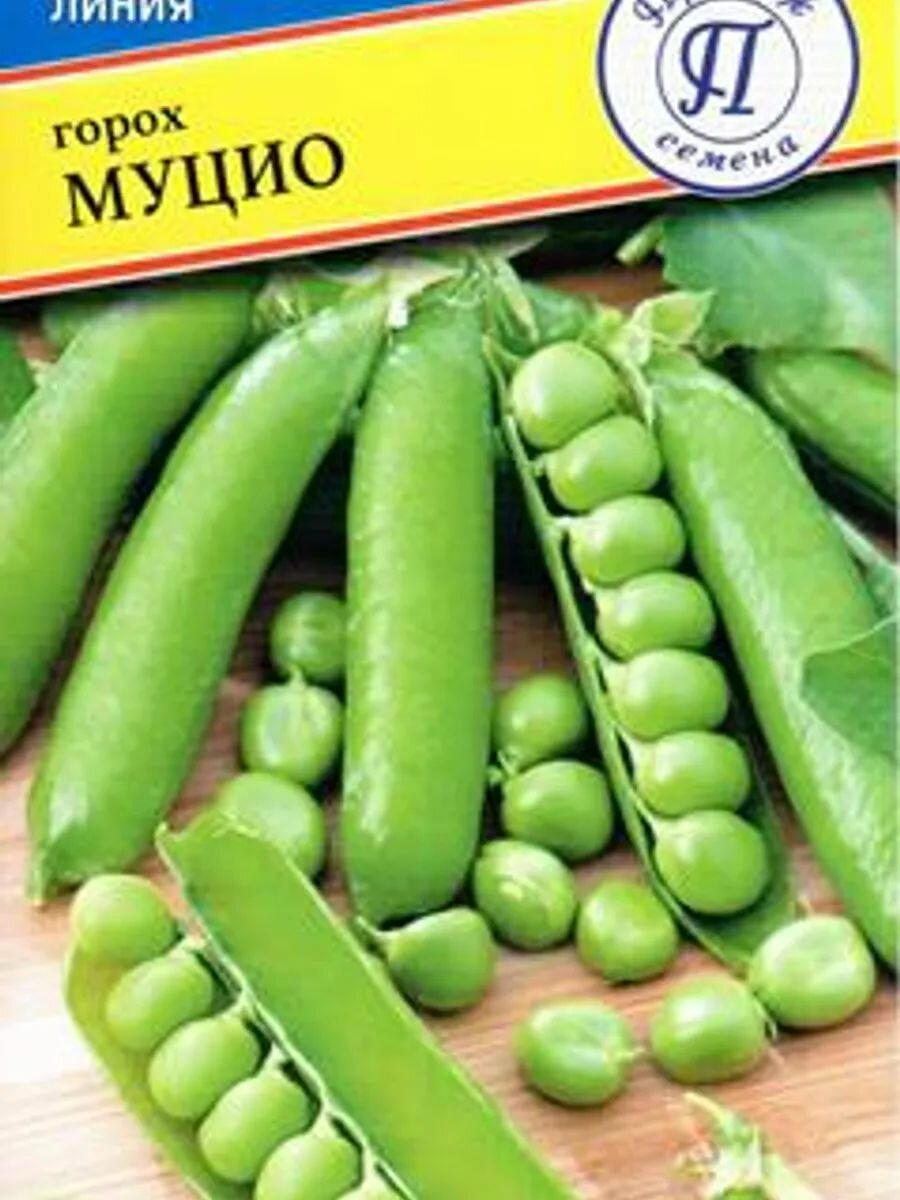 Горох Муцио 4 г, Семена Престиж