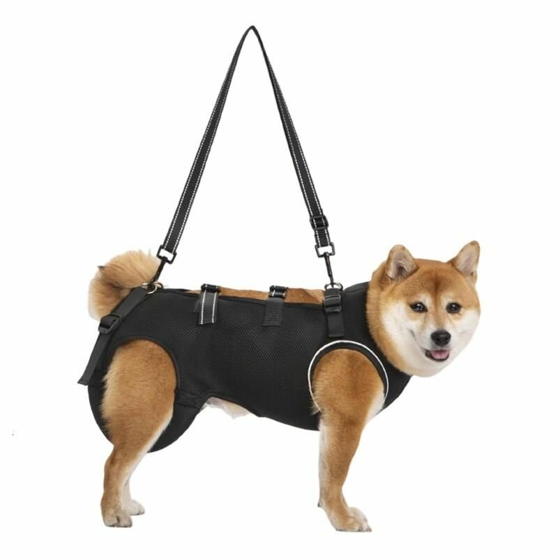 Регулируемая шлейка для поддержки пожилых собак, Черный - L