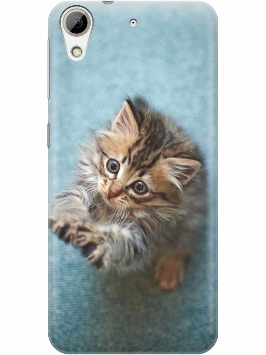 Накладка Transparent для HTC Desire 626 / 626s / 626G Dual Sim с принтом "Котёнок на голубом"