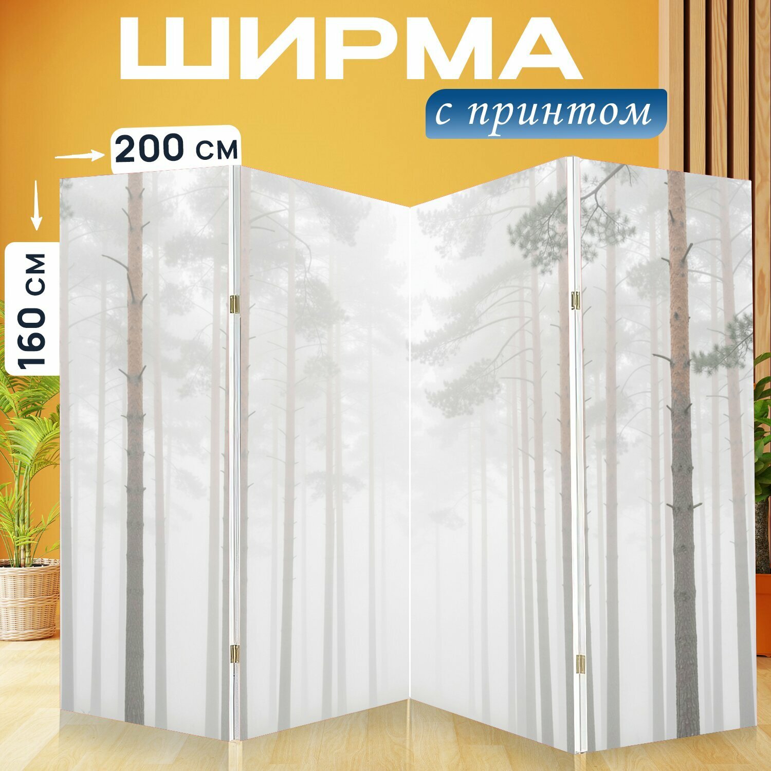 Ширма "Туманный сосновый лес. Светлый хвойный массив в густом тумане, высокие стволы деревьев, мягкие." перегородка для зонирования комнаты с принтом 200x160 см. на холсте