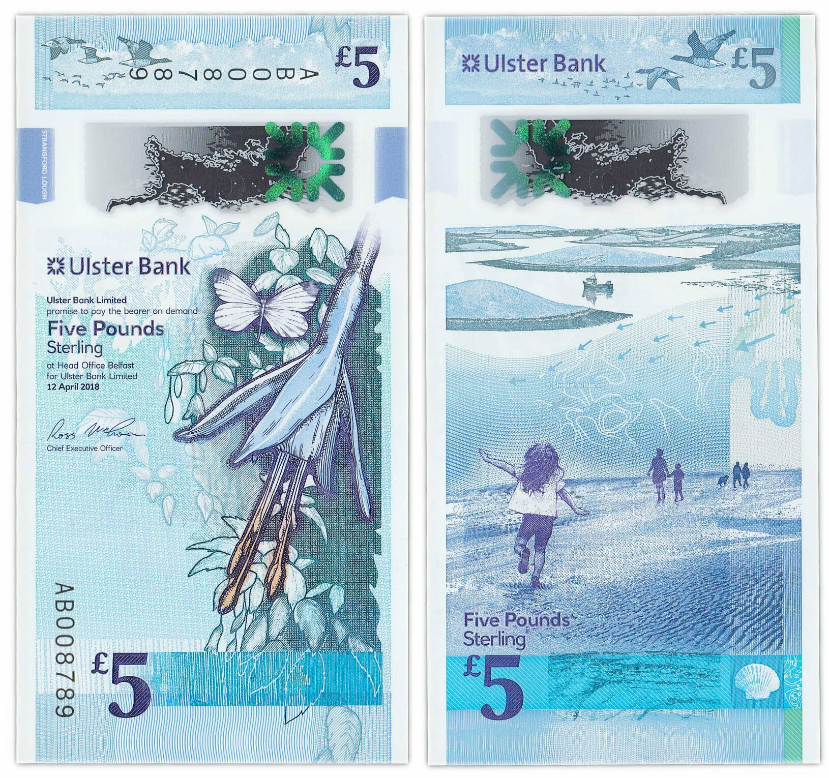Северная Ирландия 5 фунтов 2018 Ulster Bank Pick 343 пластик