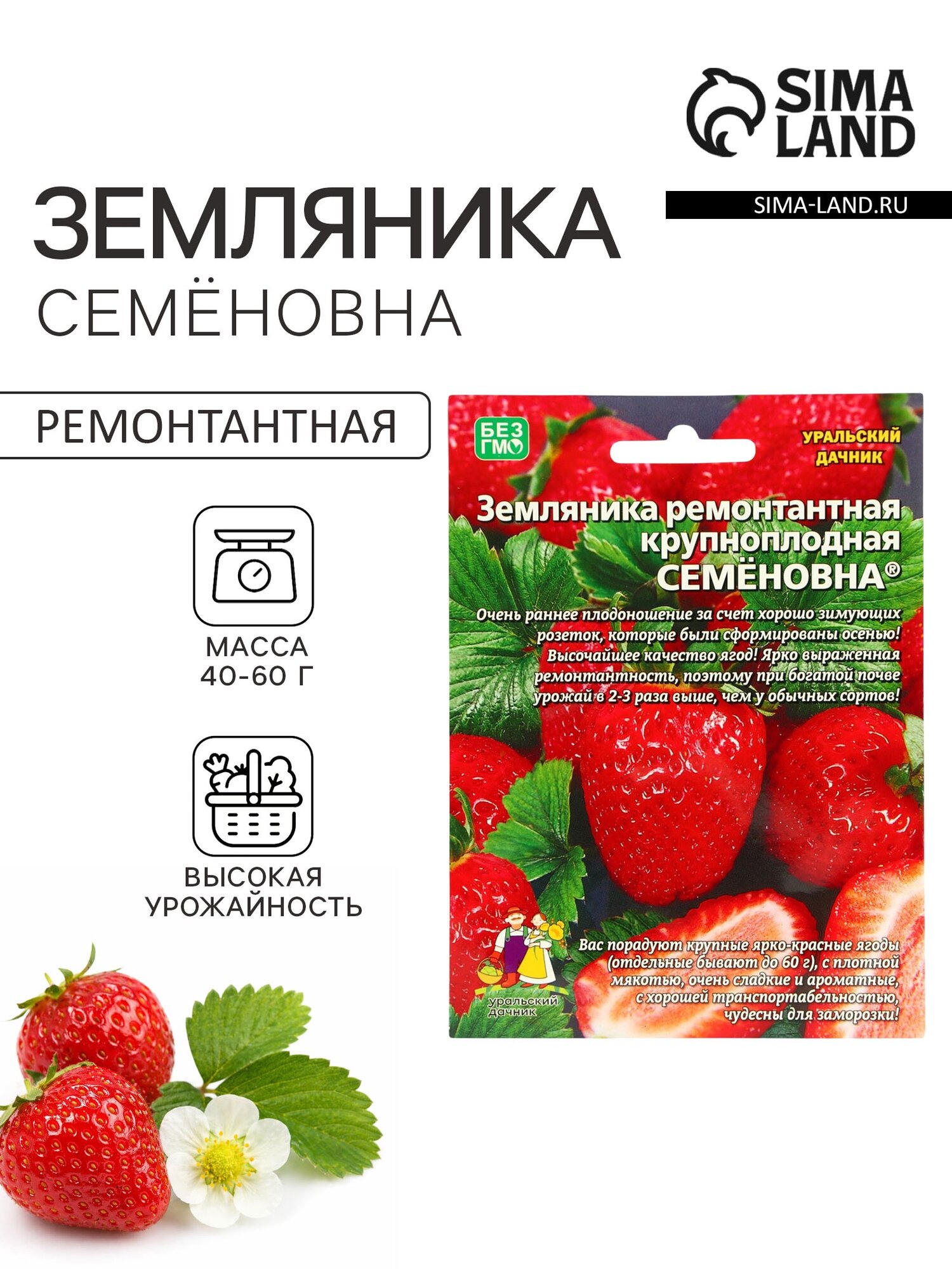 Семена Земляника «Семёновна», 10 шт, ремонтантная, крупноплодная, «Уральский дачник»