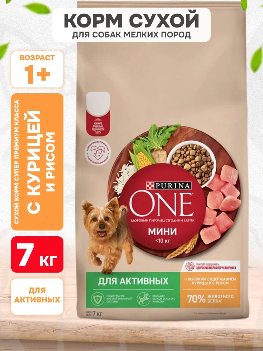 Корм сухой Purina One Мини для взрослых собак мелких и карликовых пород при активном образе жизни, курица и рис, 7 кг