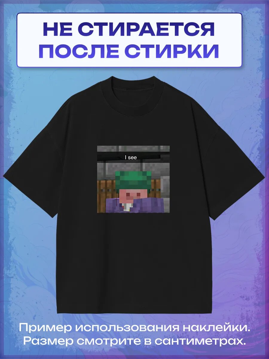 Термонаклейка dsmp meme — фото 1