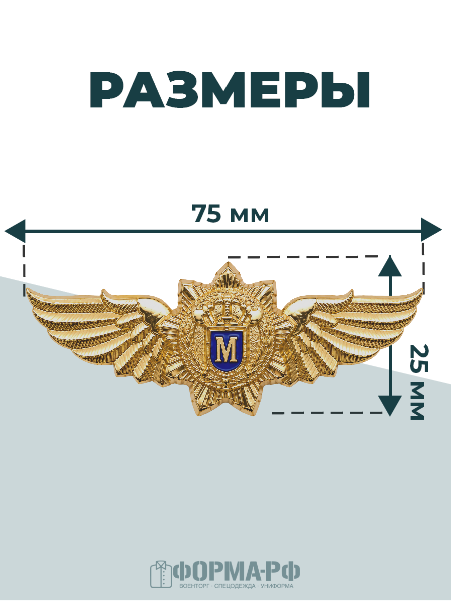 Знак классности ФСО Мастер — фото 1