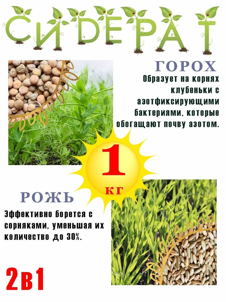 Сидерат Горох Рожь 1кг