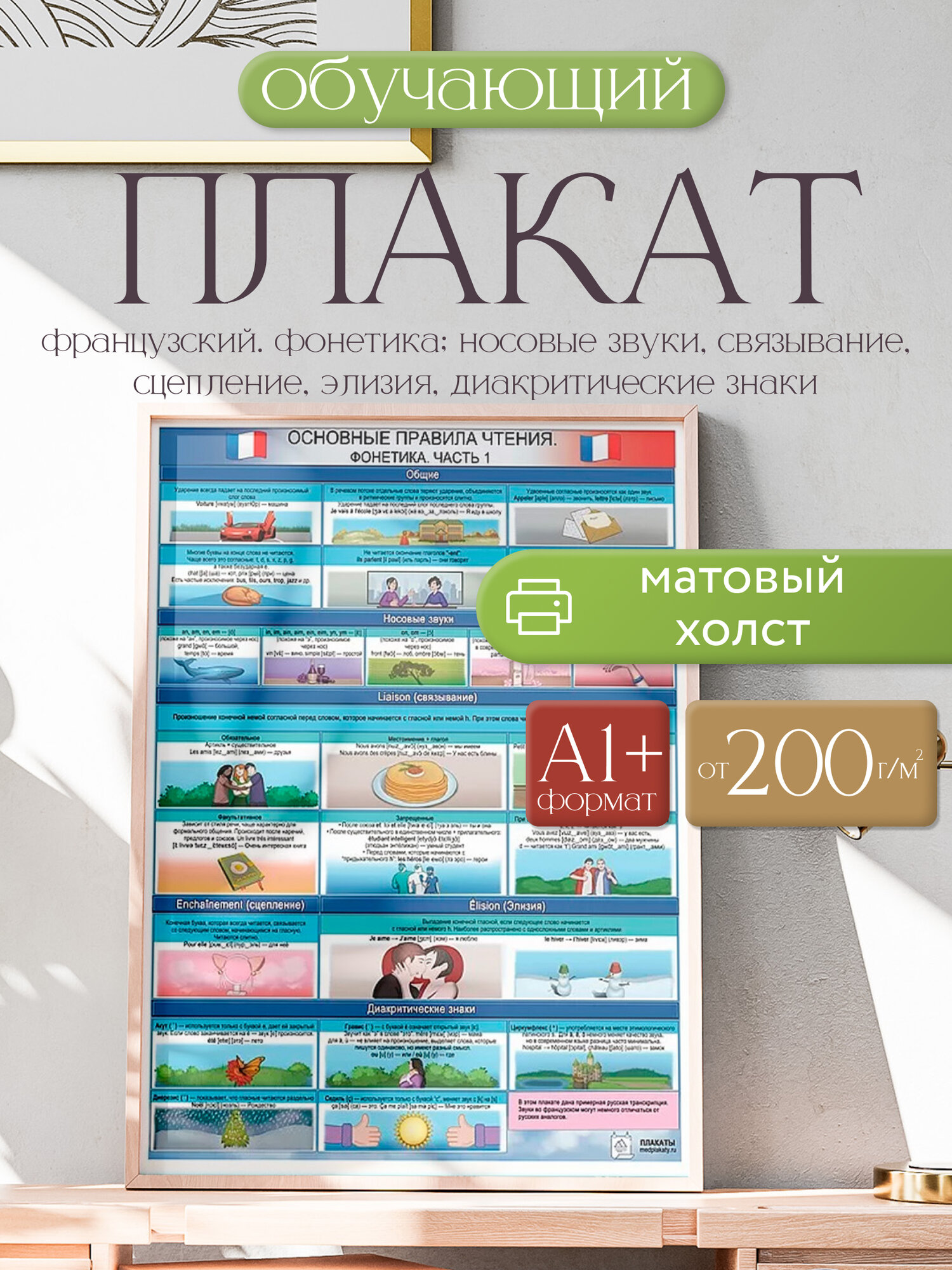 Обучающий плакат "Французский. Фонетика: Носовые звуки, Связывание, Сцепление, Элизия, Диакритические знаки", размер А1+, матовый холст от 200г/м2