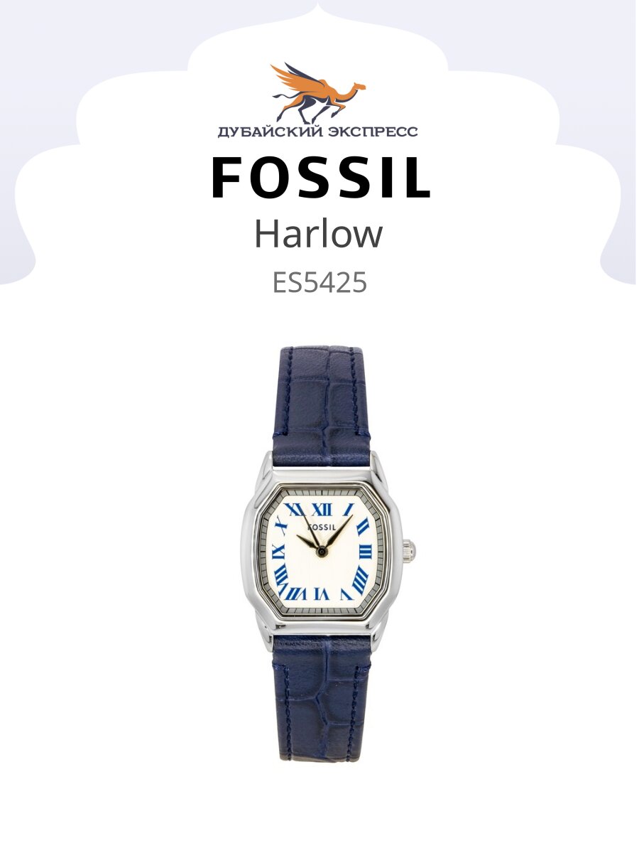  FOSSIL