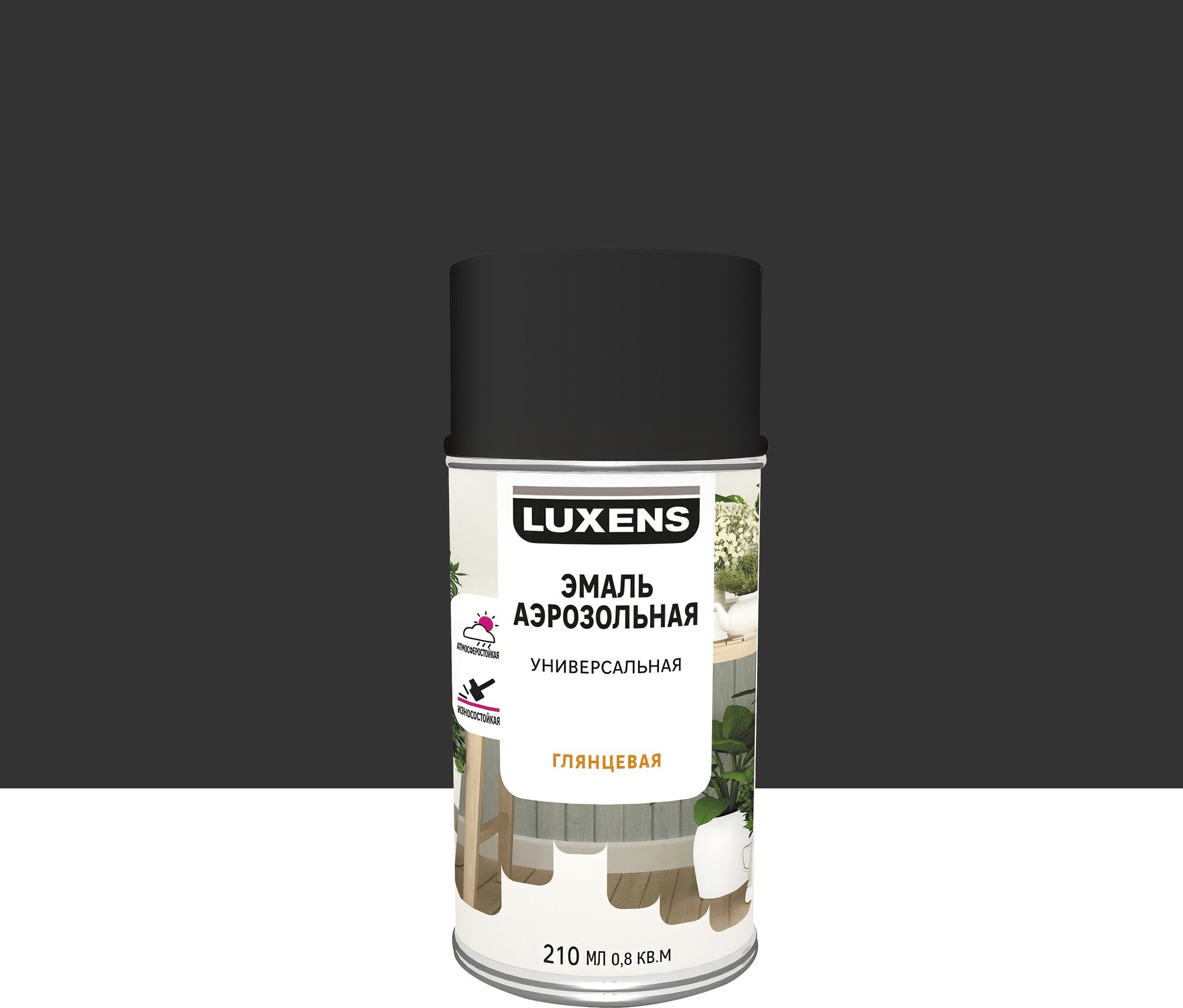 Эмаль аэрозольная декоративная Luxens глянцевая цвет черный 210 мл