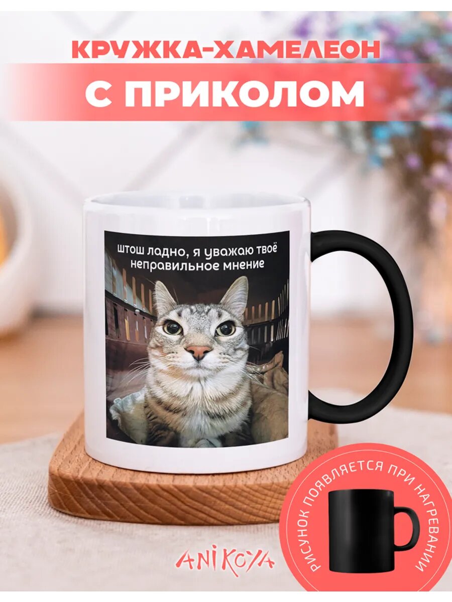 Кружка подарочная хамелеон мем кот
