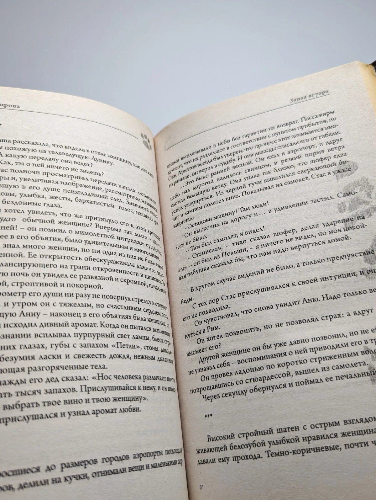 Запах ягуара — фото 1