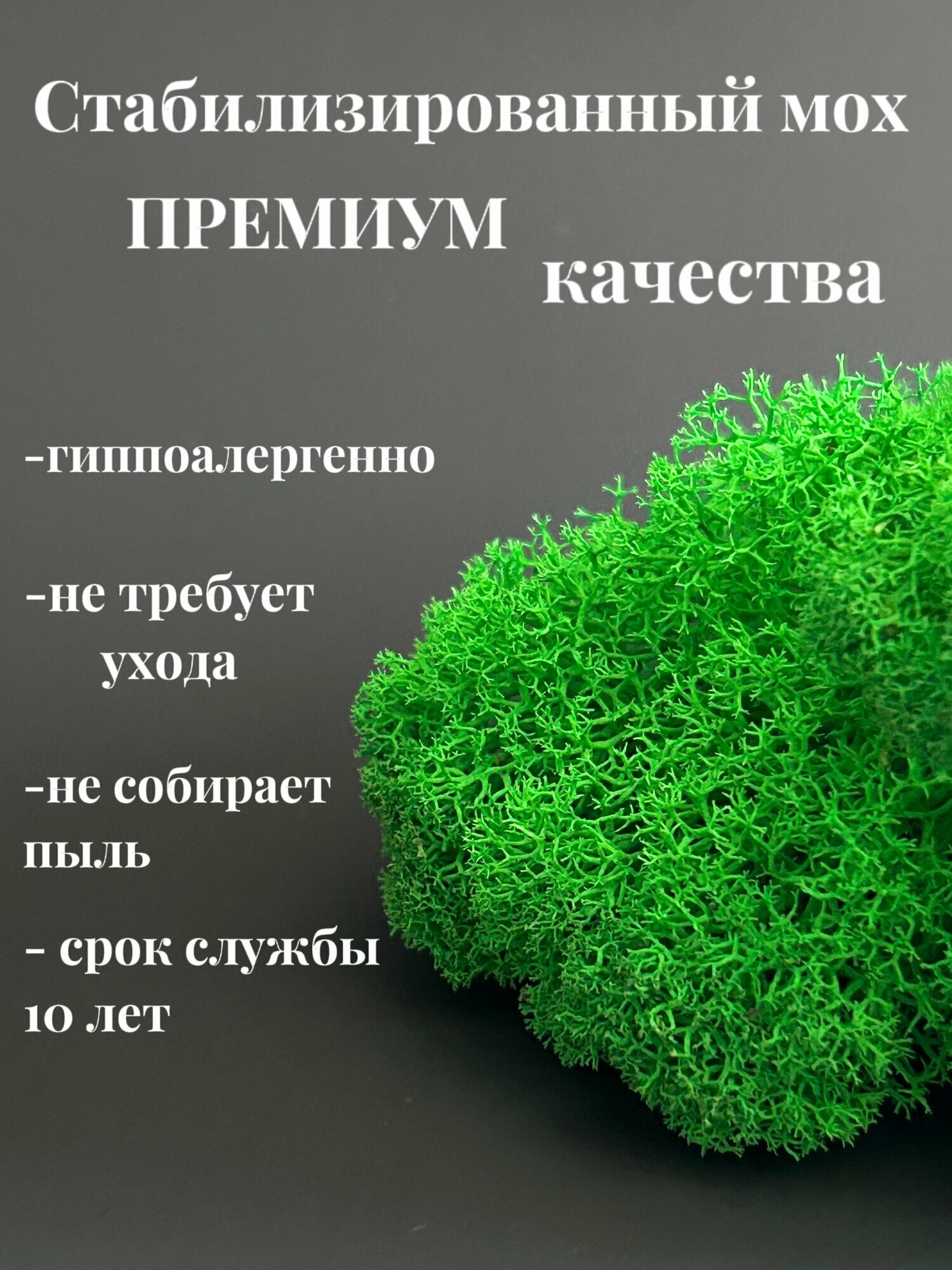 Статуэтка — фото 1