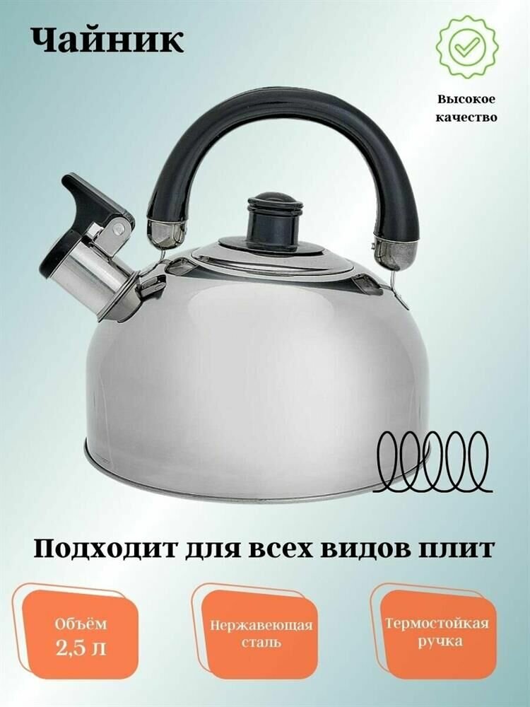 Чайник для плиты BE-0526 2.5л