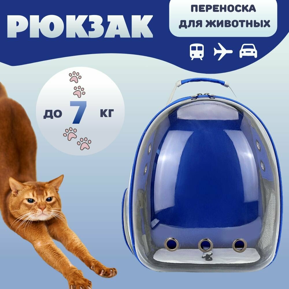 Переноска рюкзак для животных мелких пород синий с прозрачной дверцей