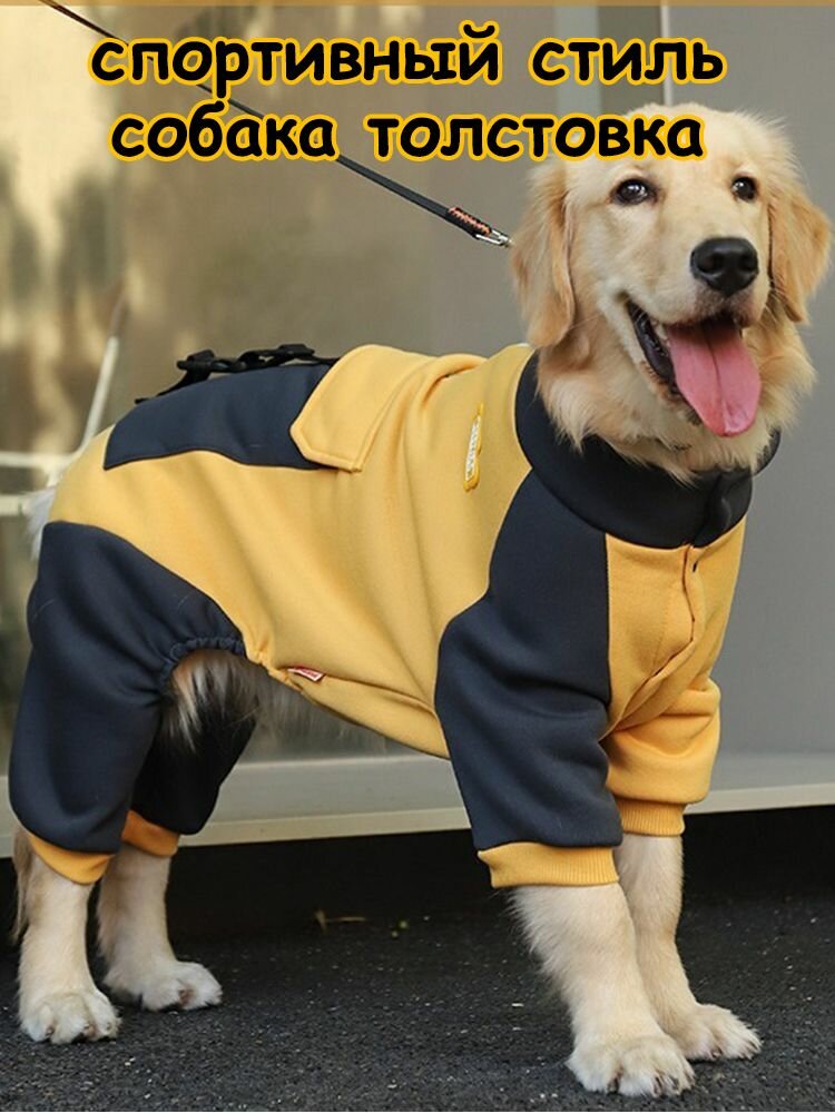 Осенние и зимние золотистые ретриверы, одежда для средних и крупных собак, толстовки для четвероногих лабрадоров-ретриверов в стиле домашних животных;