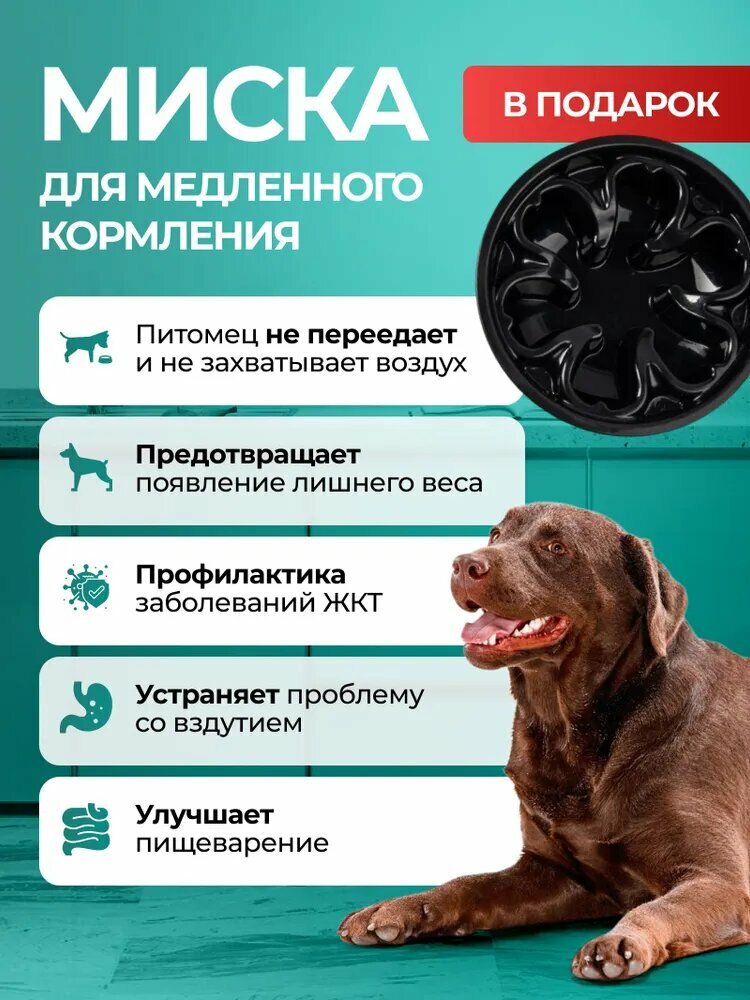 Миска для животных — фото 1