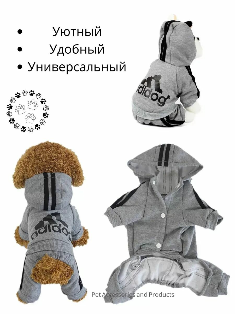 Одежда для животных — фото 1