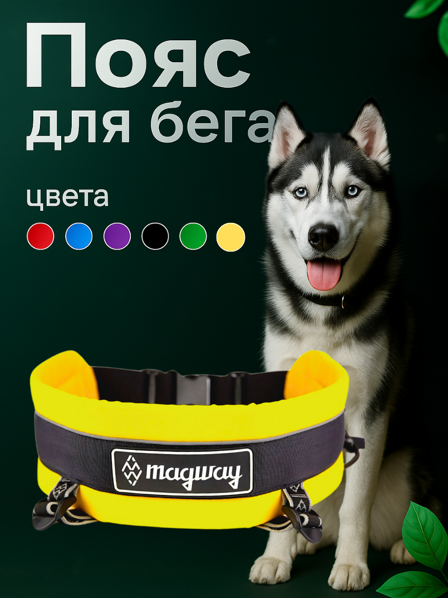 Пояс для бега с собакой, для каникросса, для скиджоринга, для догтреккинга MagWay, для взрослых и детей, цвет желтый