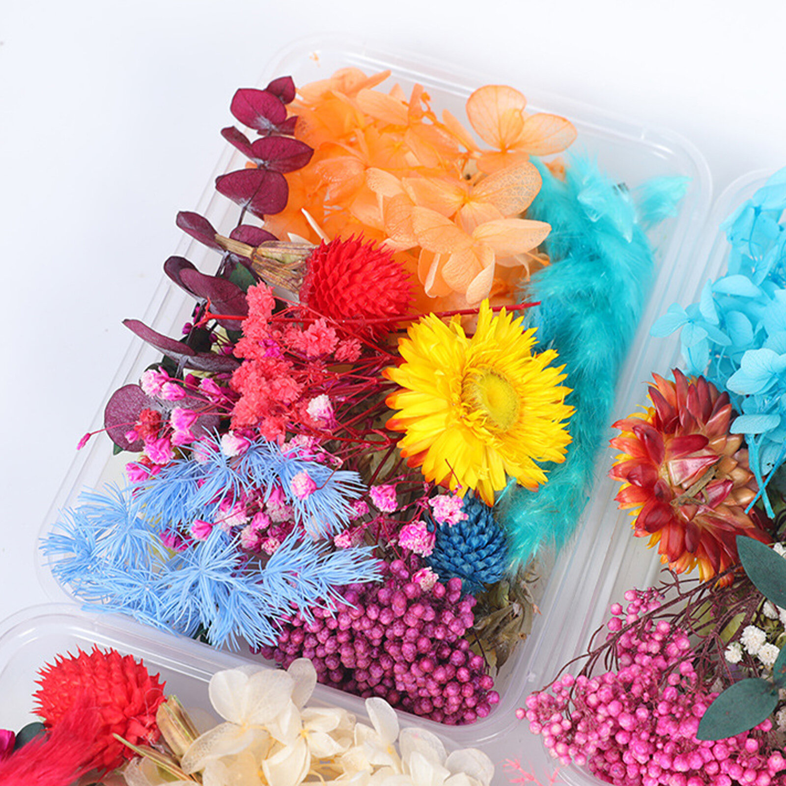 Dried Flower DIY Accessories Set — фото 1