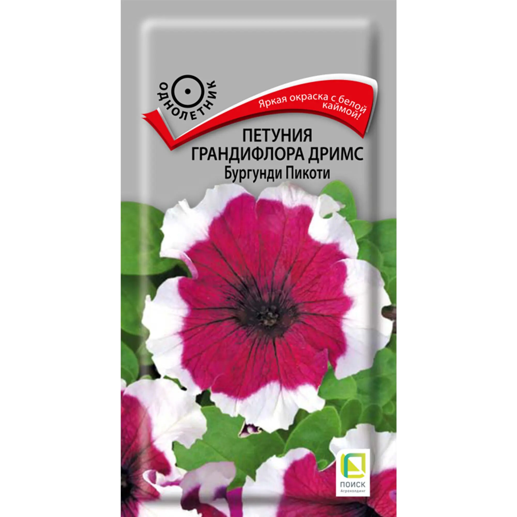 Семена петунии Грандифлора Дримс Бургунди Пикоти стойкое цветение и пышное кустение
