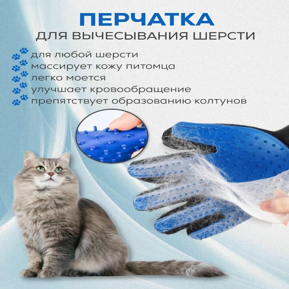 Переноска — фото 1