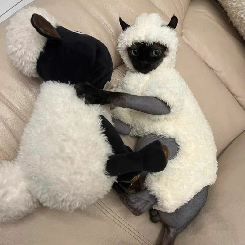 Костюм для животных "Собака кошка овца", из флиса, с капюшоном, для средних питомцев, белый