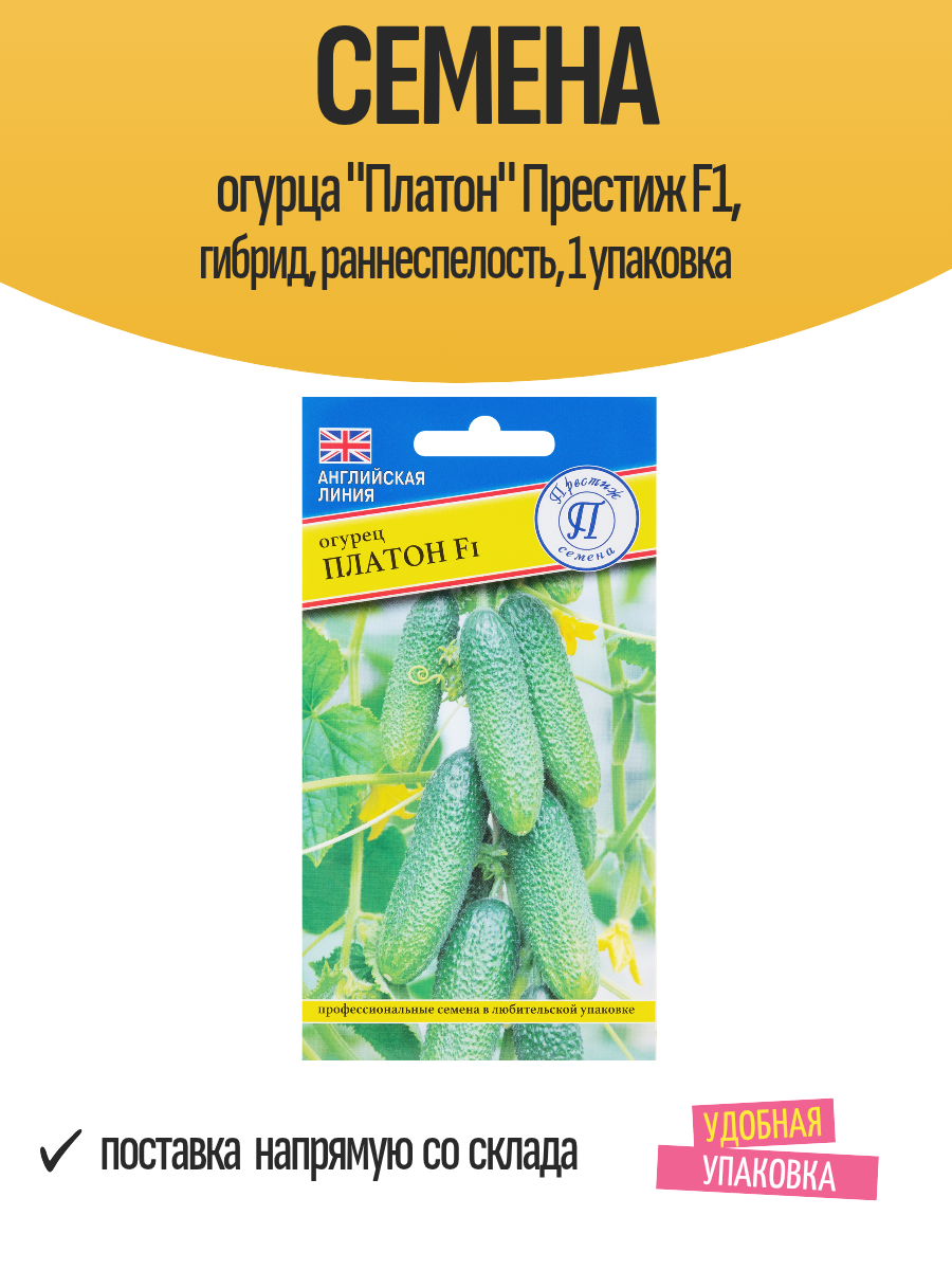 Семена огурца "Платон" Престиж F1, гибрид, раннеспелость, 1 упаковка