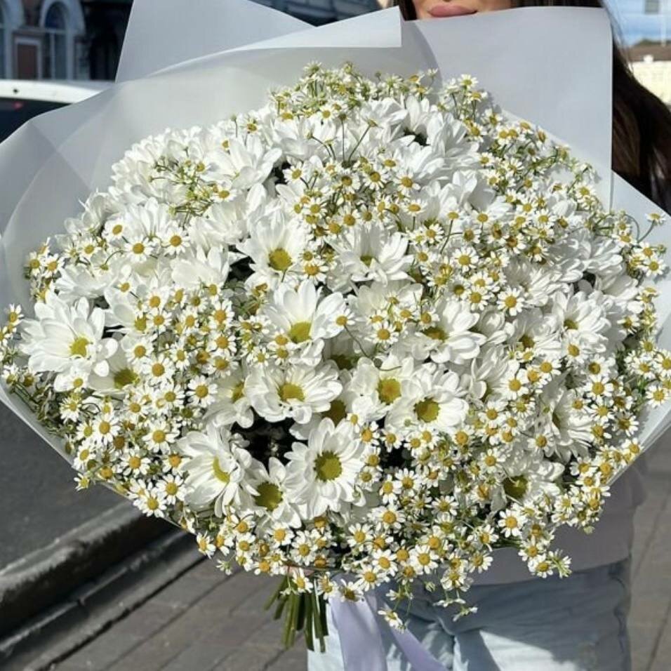 Пышный букет из белых хризантем и полевых ромашек танацетум. Букет ромашек