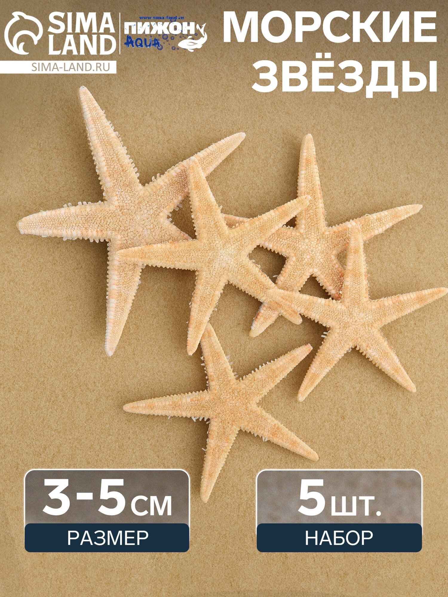 Набор из 5 морских звезд, размер каждой 3-5 см