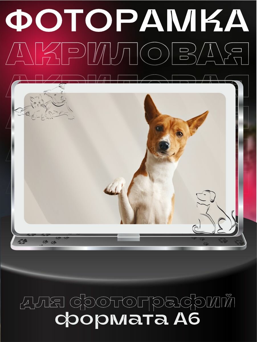 Акриловая фоторамка / Рамка для фото 11х16 Собака и кошка