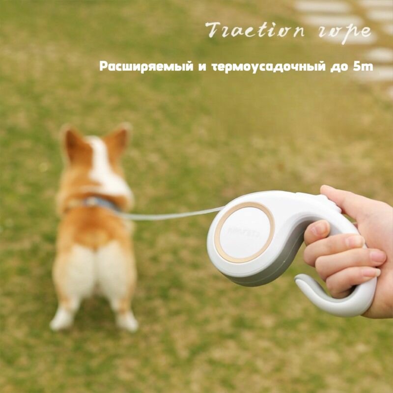 Поводок
