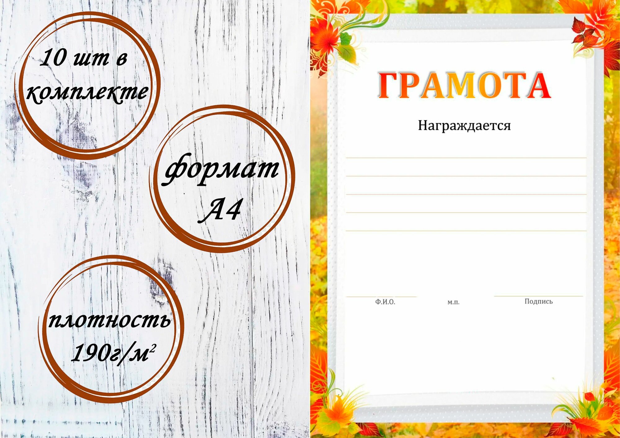 Бланк для грамоты A4 Студенческая (21 29.7 см), листов: 5