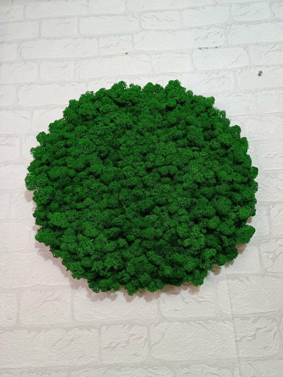 Панно декоративное круг из живого природного стабилизированного мха ягеля 45 см цвет зеленый для интерьера, декора и дизайна. Озеленение для дома, офиса, кафе, ресторана