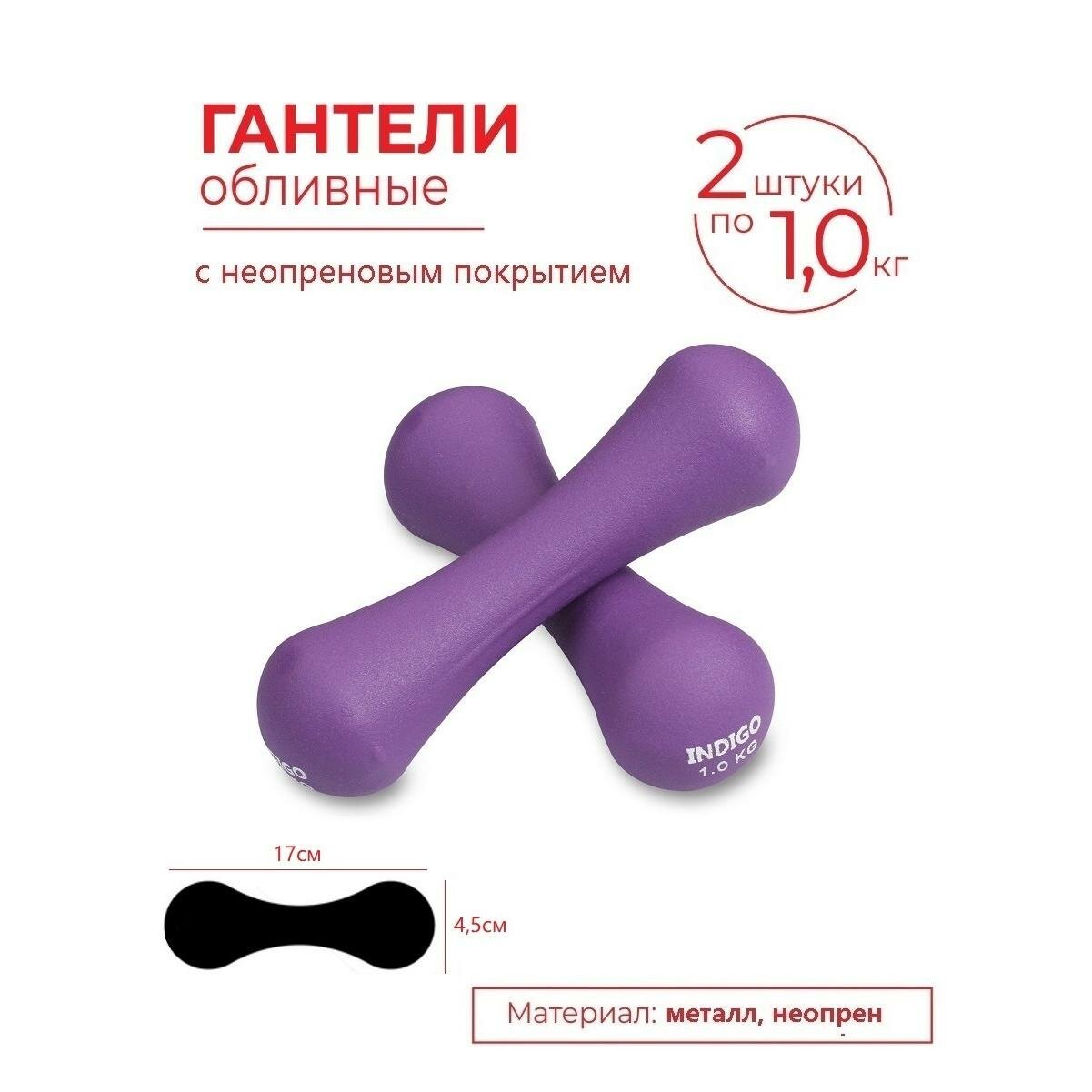 Гантели обливные с неопреновым покрытием INDIGO 1,0кг пара, фиолетовый