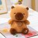 Мягкая игрушка капибара, 15 см, плюшевый мишка для детей и подарка