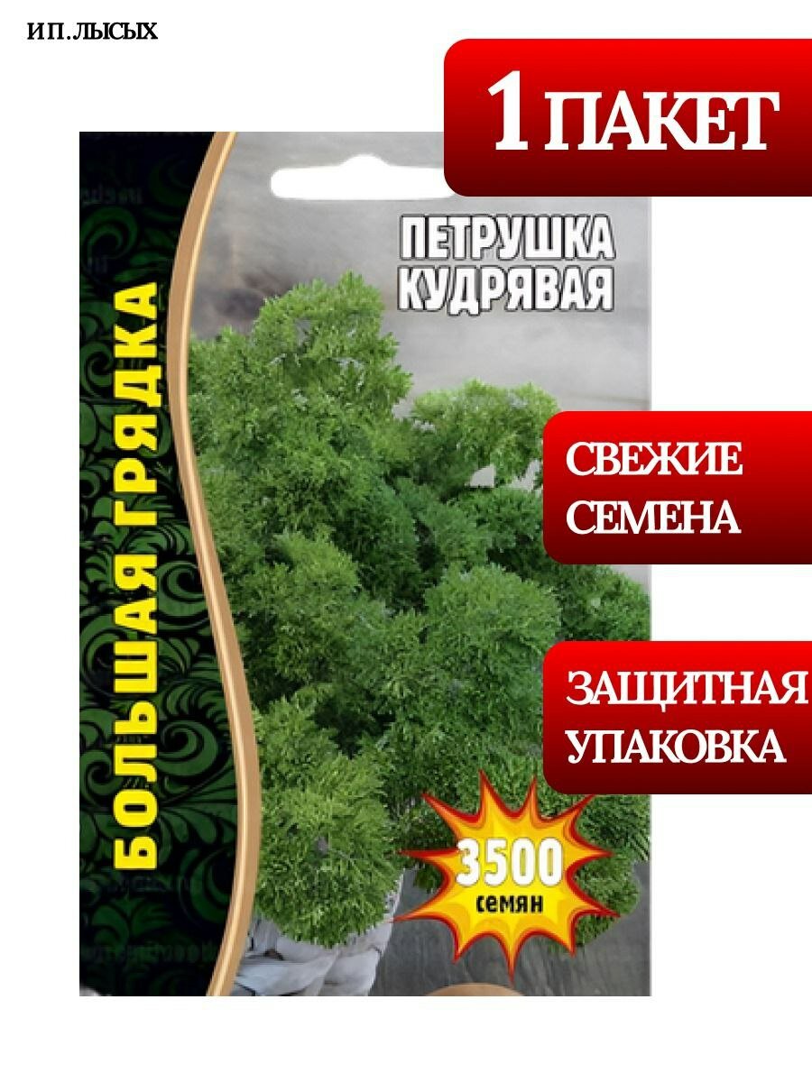 Семена Петрушка "Кудрявая"
