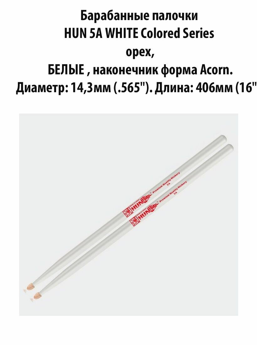 HUN 5A WHITE Colored Series - Барабанные палочки, орех, белые , наконечник форма Acorn