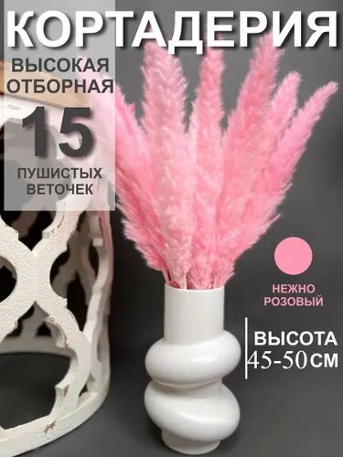 Сухоцветы Камышовая трава, 50 см, 70 гр, 15 шт