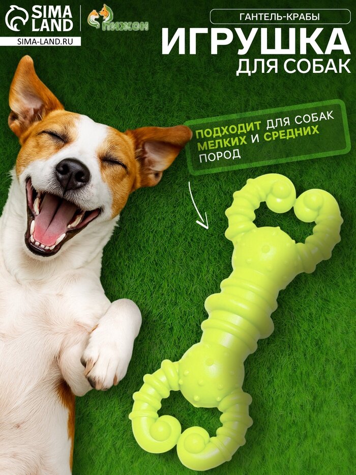 Игрушка для собак резиновая Гантель-крабы, TPR, 11.5×2 см, жёлтая, 2 шт.