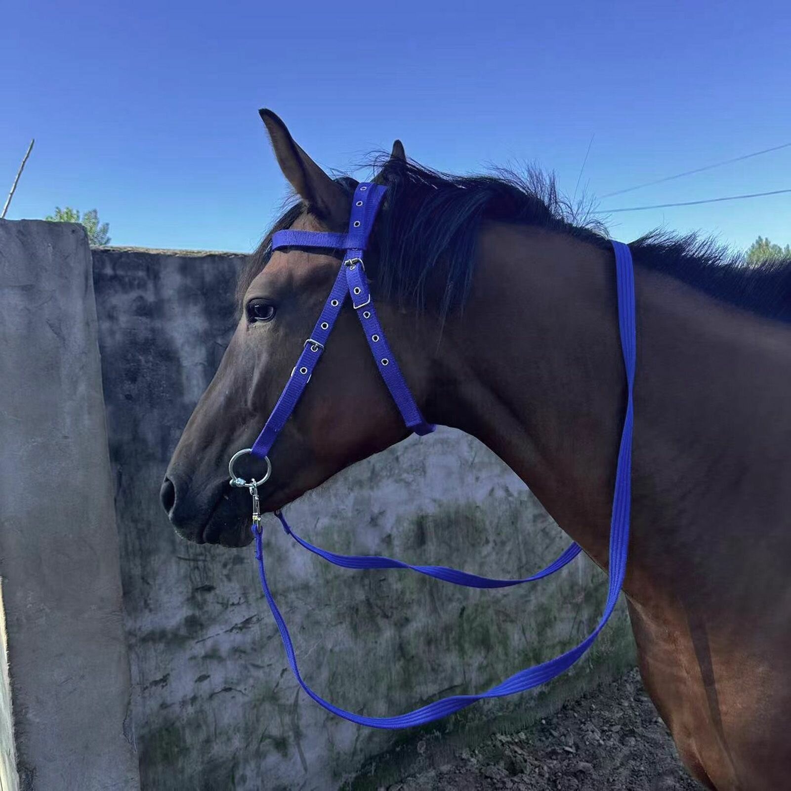 Нейлоновый стильный регулируемый повод для уздечки для верховой езды, синий L (для лошадей с высотой в холке 1,3 метра и выше)