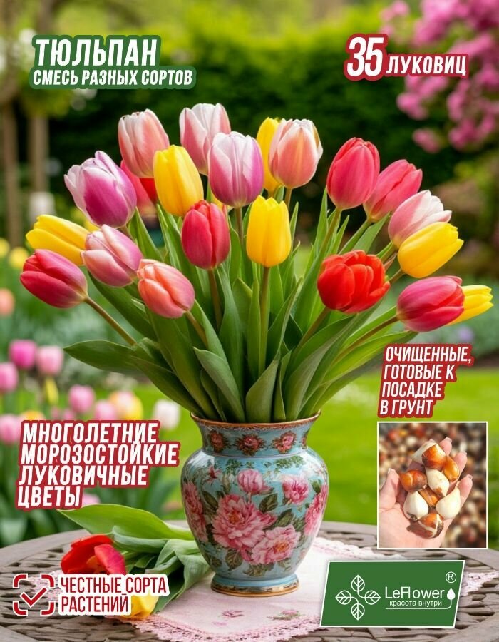 Тюльпан Луковицы очищенные, Микс сортов, 35шт