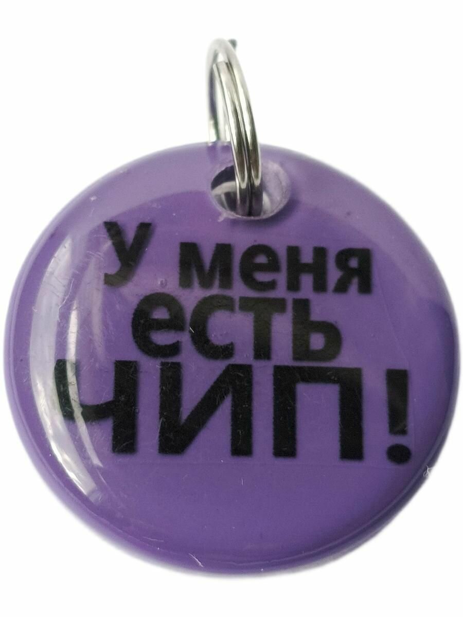 Кулон для питомца "У меня есть чип" фиолетовый
