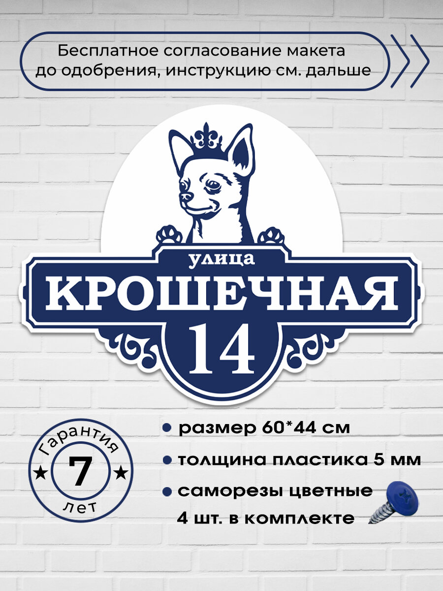 Адресная табличка на дом с собакой чихуахуа в короне, синяя, 60х44 см.
