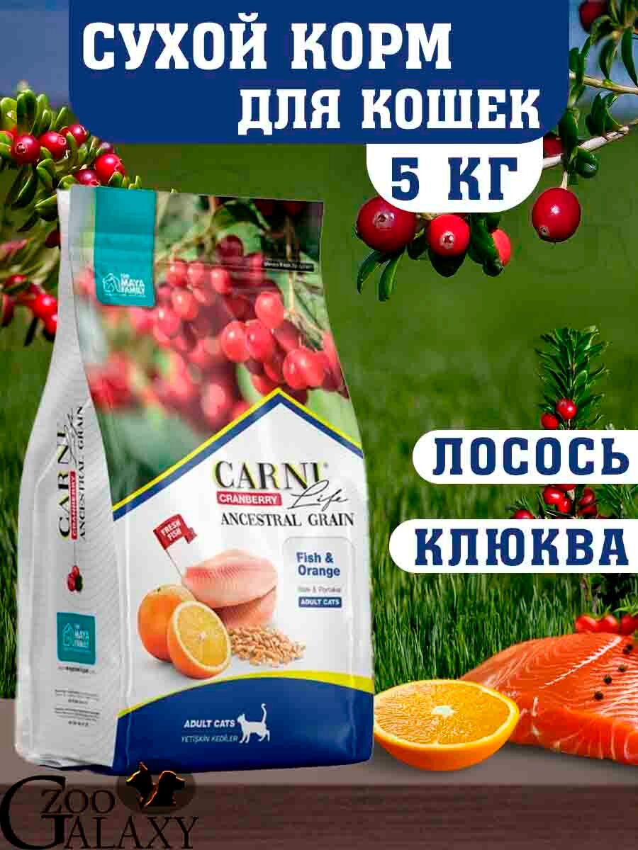 CARNI Корм для взрослых кошек рыба, апельсин 5 кг
