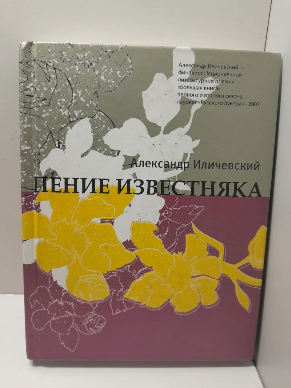 Пение известняка / Александр Иличевский