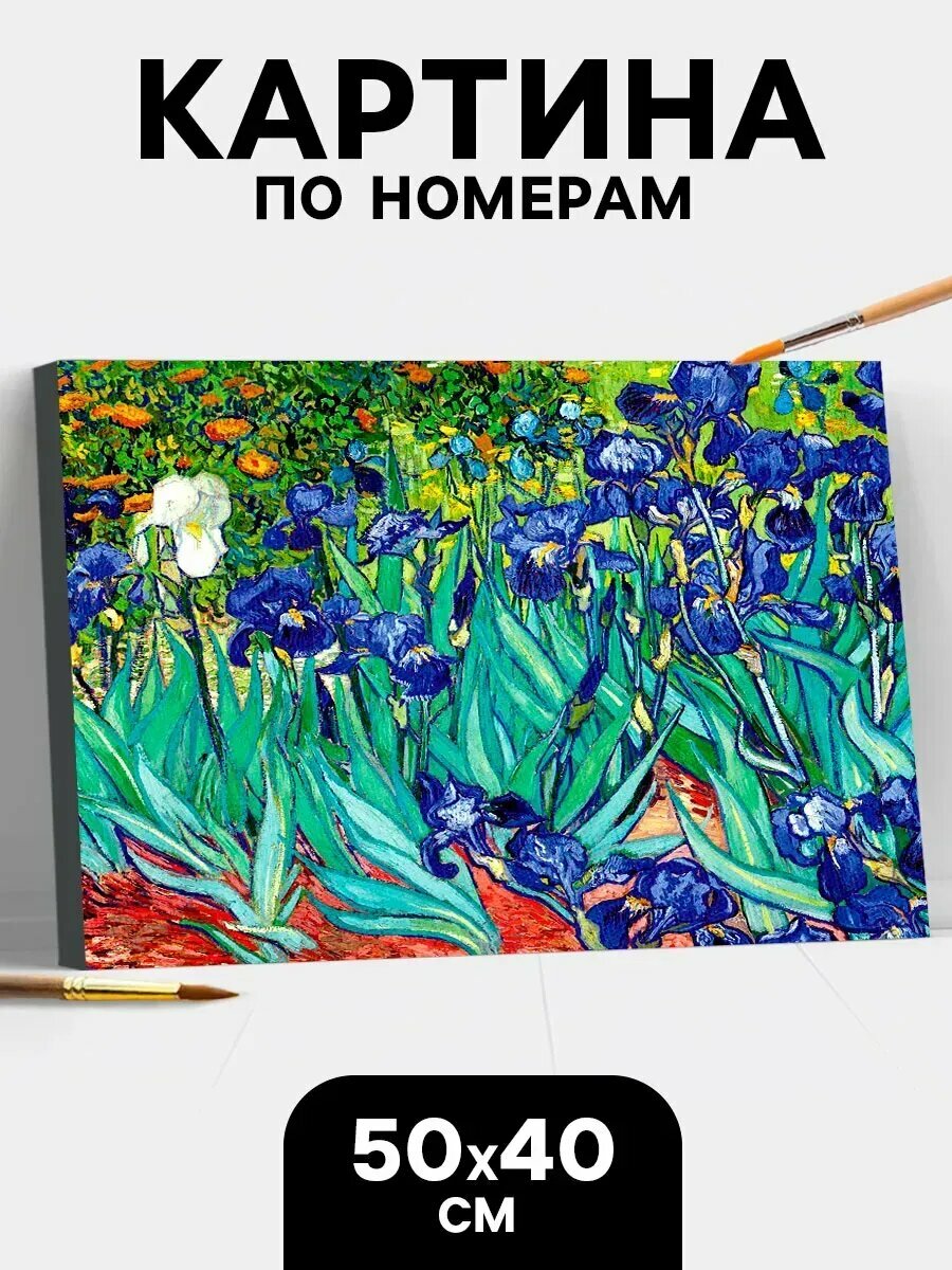 Картина по номерам цветы Ирисы